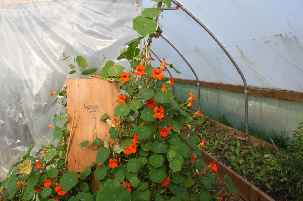 Mytholm Works – a growing future | Upper Calder Valley Plain Speaker
