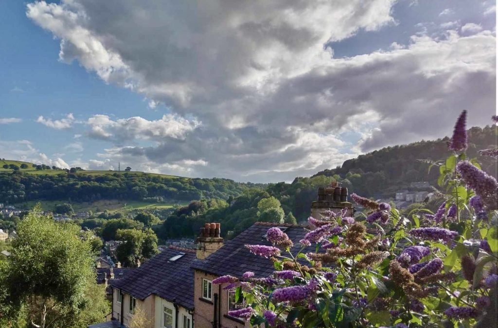 Upper Calder Valley Plain Speaker | Upper Calder Valley Plain Speaker